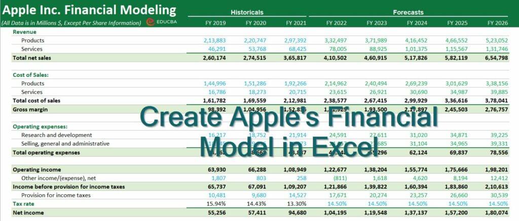 Financial Modeling in Excel | Stepwise Guide +Template (2024)