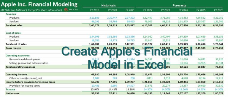 Financial Modeling in Excel | Stepwise Guide +Template (2024)