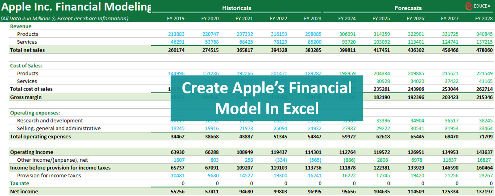 Financial Modeling in Excel | Stepwise Guide +Template (2024)