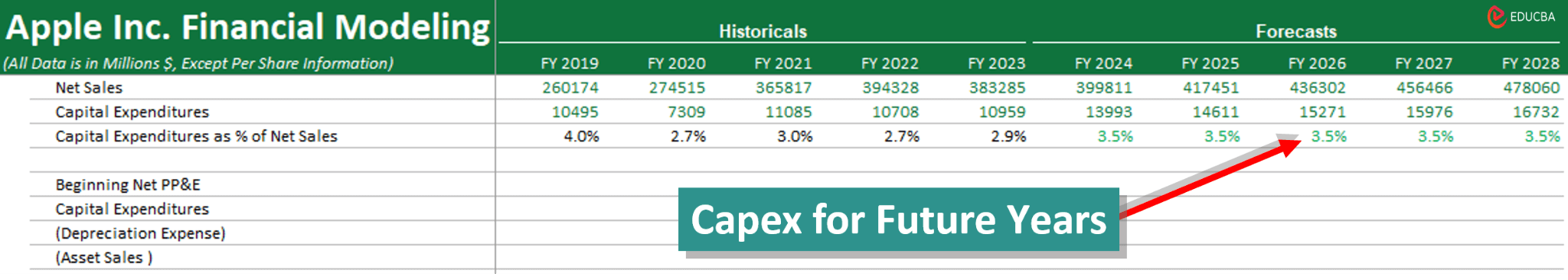 Financial Modeling in Excel | Stepwise Guide +Template (2024)