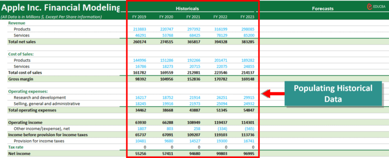 Financial Modeling in Excel | Stepwise Guide +Template (2024)