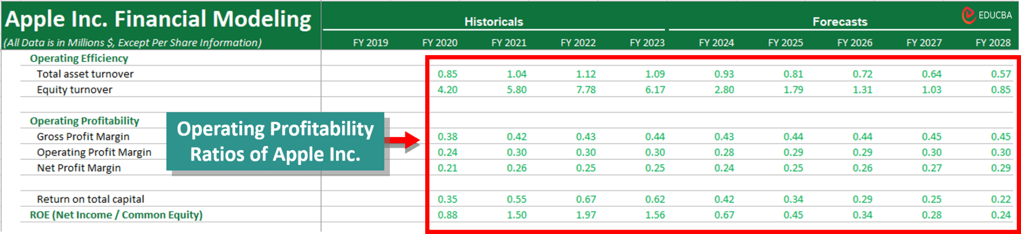 Financial Modeling in Excel | Stepwise Guide +Template (2024)
