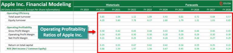 Financial Modeling in Excel | Stepwise Guide +Template (2024)