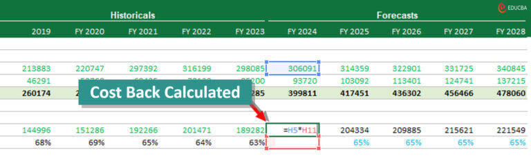 Financial Modeling in Excel | Stepwise Guide +Template (2024)