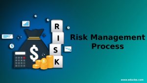 Risk Management Process | Basics & Various Phases | Visual Example