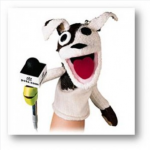 IPO Process | 7 Important Process You Should Know