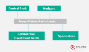 Forex Market – Meaning, Working, Participants, & Instruments