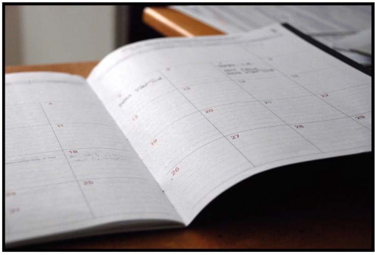 Forex Trading Plan | 17 Important Forex Trading Plans to Know