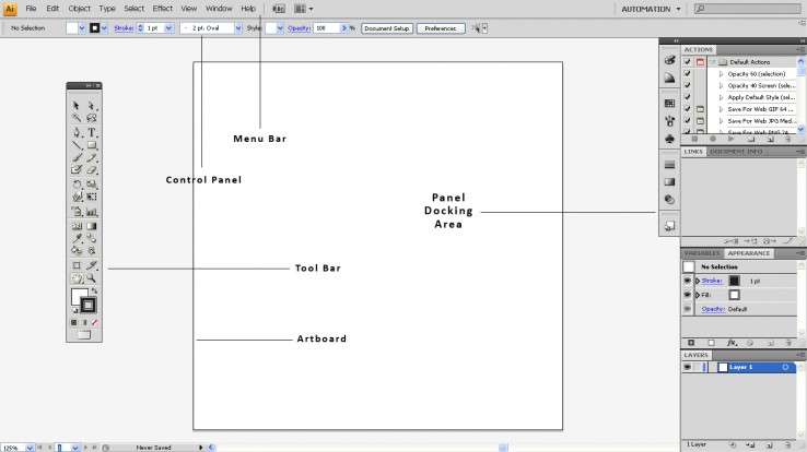 Adobe Illustrator for beginners | Software, Training, Tutorial