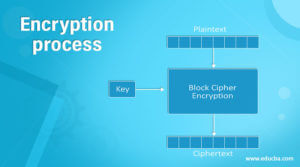 Encryption process And It's Remarkable Definition &Types