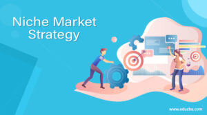 Niche Market Strategy | 8 Most Popular Niche Market Strategies