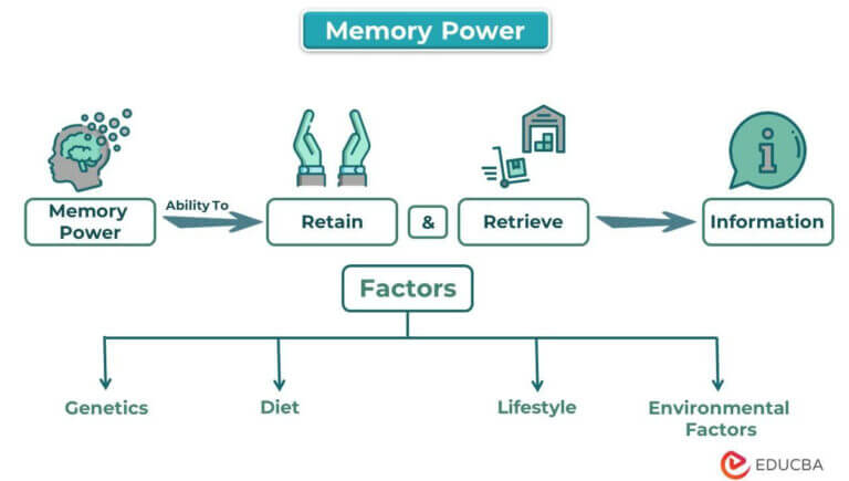 6 Tremendous Ways To Boost Your Memory Power | EDUCBA