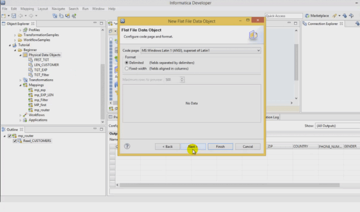 Informatica Developer Tool Configuring And Installing Informatica 8181