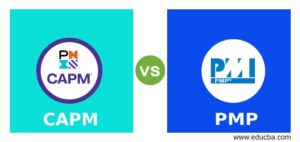 CAPM vs PMP Exams - Learn More and Find The Best One