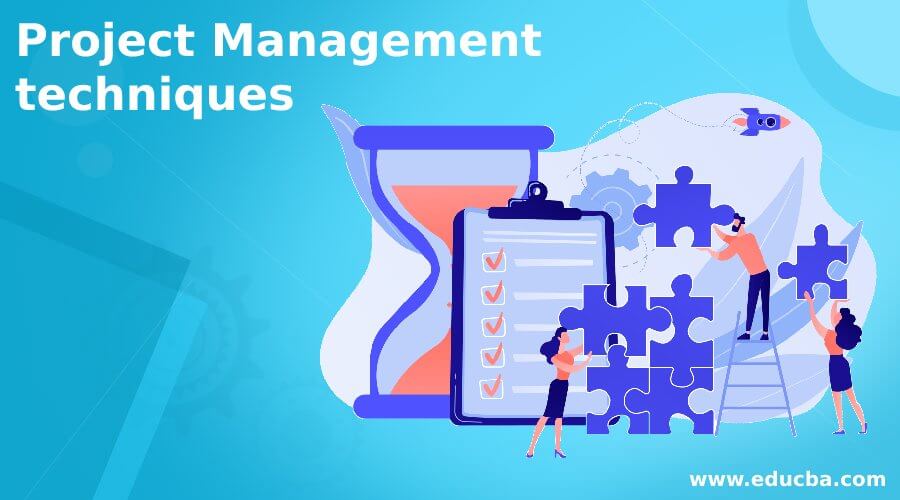 Project Management Techniques 20 Useful ions Skills Plan 