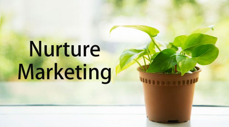 6 Most Important Techniques Of Nurture Marketing | Definition | Strategy