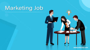 Types of Marketing Job Titles | Top 11 Marketing Jobs You can Consider