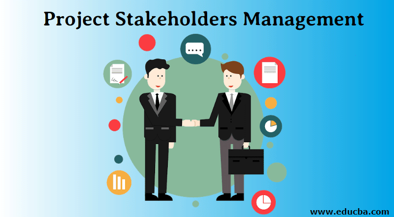 Project Stakeholders Management | Useful Meaning And Types