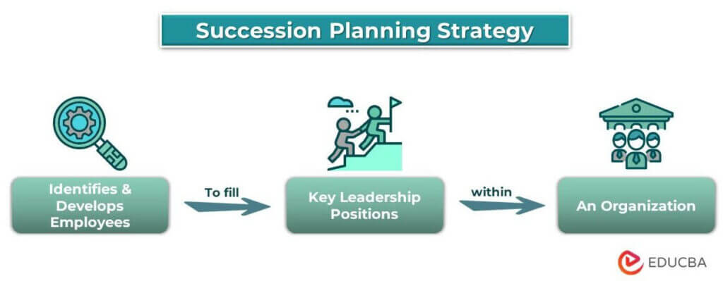 Succession Planning Strategy | A Comprehensive Guide