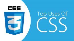 Uses of CSS | A Quick Glance of 10 Different Uses of CSS