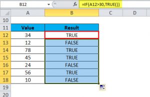 TRUE Function in Excel (Formula, Examples) | How to use TRUE Function