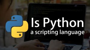 Is Python a scripting language? | A Programming Or Scripting Language?