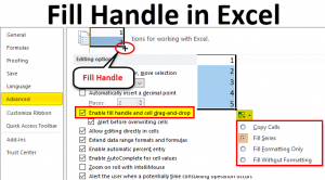 Fill Handle in Excel (Examples) | How to Use Excel Fill Handle?