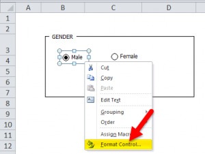 Radio Button in Excel (Example) | How to insert Option Button in Excel?