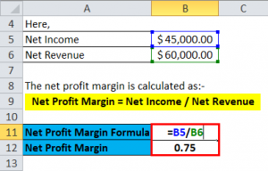 Net Income Formula | Calculator (With Excel template)