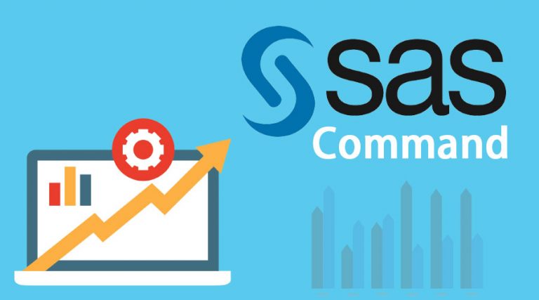 Sas Commands Guidet To Basic And Advanced Sas Commands