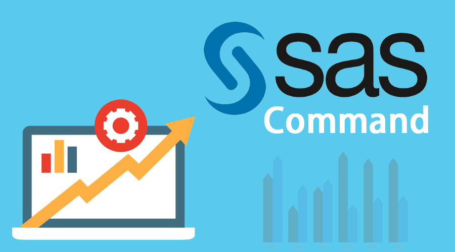 SAS Commands Guidet To Basic And Advanced SAS Commands