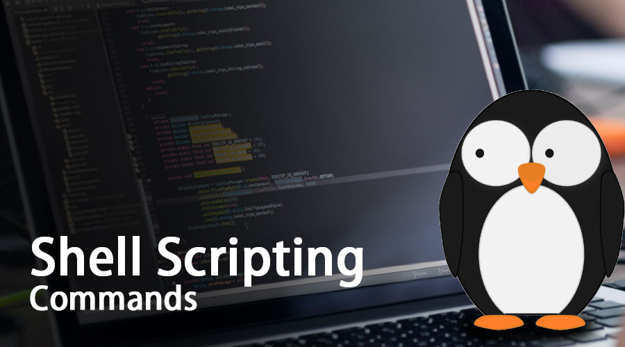 Scripting