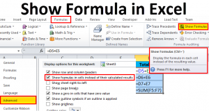 Excel Show Formula | How to Show Formula in Excel with Examples