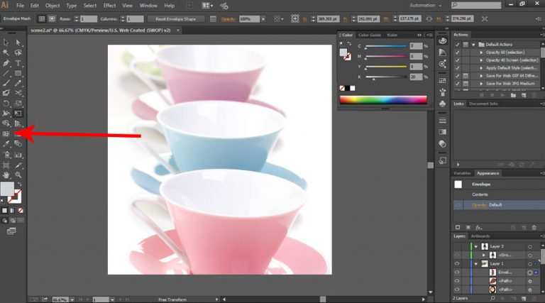 How to Use Adobe Illustrator | Top 12 Essential Tools in Adobe Illustrator