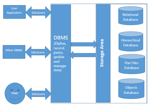 Introduction To DBMS Components Apllication Characteristics
