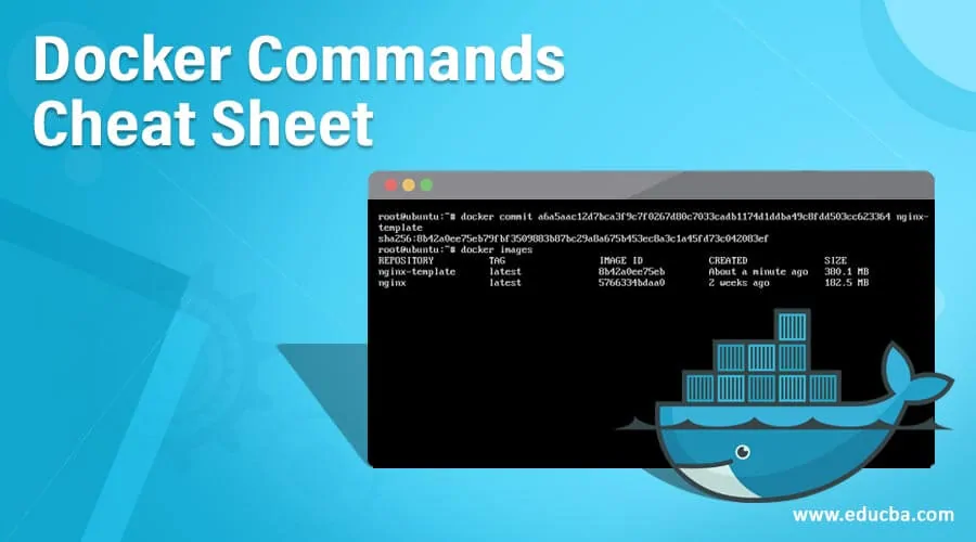 Docker Commands Cheat Sheet | Best Interactive Cheat Sheet on Docker