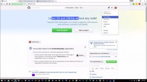 Install Github | Step by Step Installation Of Github On Windows