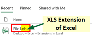 Extensions of Excel | Types of File Formats ( XLS, XLSX, XLSM, XLSB )