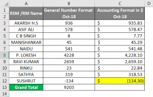 Accounting Number Format in Excel | How to Apply Accounting Format?