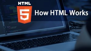How HTML Works | Learn How HTML Works With Different Attributes