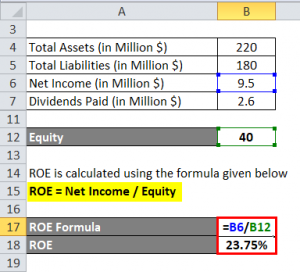 Sustainable Growth Rate Formula | Calculator (Excel template)