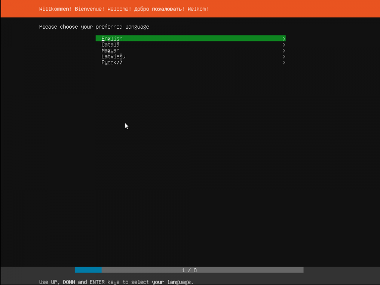 Install Ubuntu Server | Step By Step Installation Of Ubuntu Server