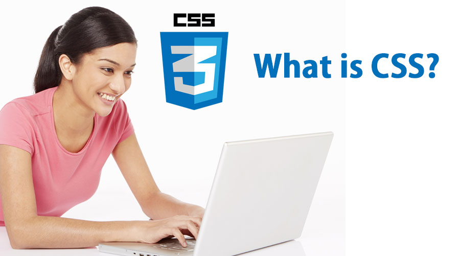 What is CSS? | LaptrinhX