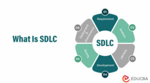What is SDLC | Basics | Different Phases and Models of SDLC