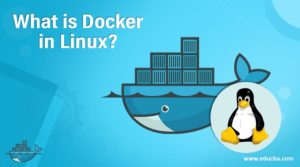 What is Docker in Linux? | Use, Scope And Advantages of Docker in Linux