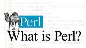 What is Perl? | Working | Possibilities with Perl | Advantages
