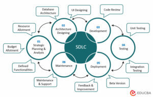 What is SDLC | Basics | Different Phases and Models of SDLC