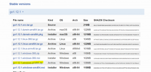 How to Install Go? | Learn How to Install Step By Step Go in your System