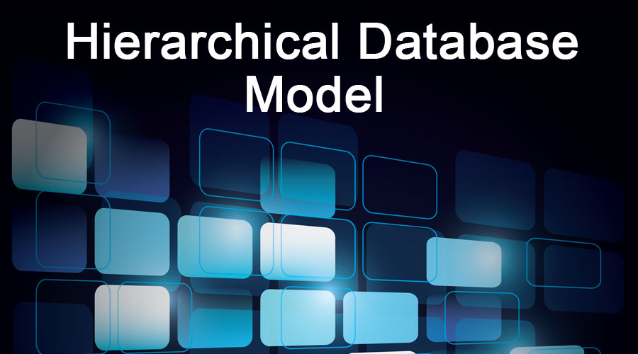 Hierarchical Database Model Concise Guide To Hierarchical Data Model