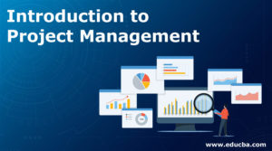 Introduction to Project Management | Role | Elements